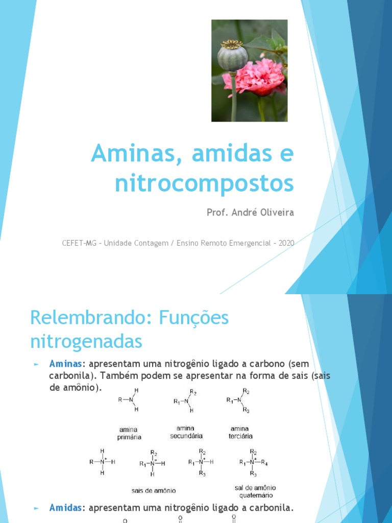 Aminas, Amidas e Nitrocompostos - SLIDES | PDF | Amina | Amida