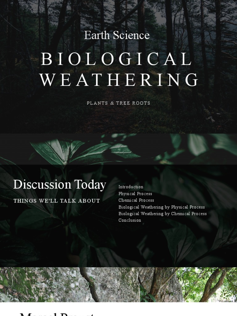 Earth Science: Biological Weathering | PDF | Weathering | Nature