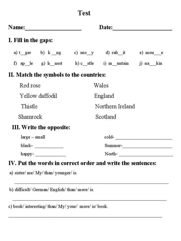 Test Clasa 6 Limba Engleza | PDF