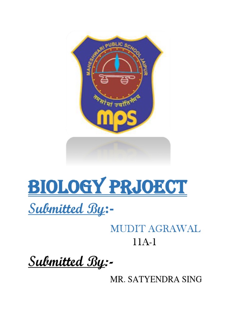 Biology Project | PDF | Mitosis | Cell Cycle
