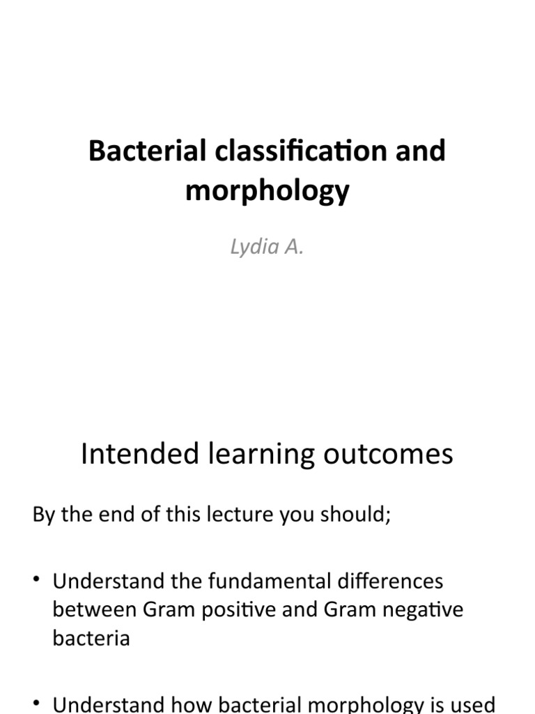 Bacterial Classification And Morphology Download Free Pdf Gram