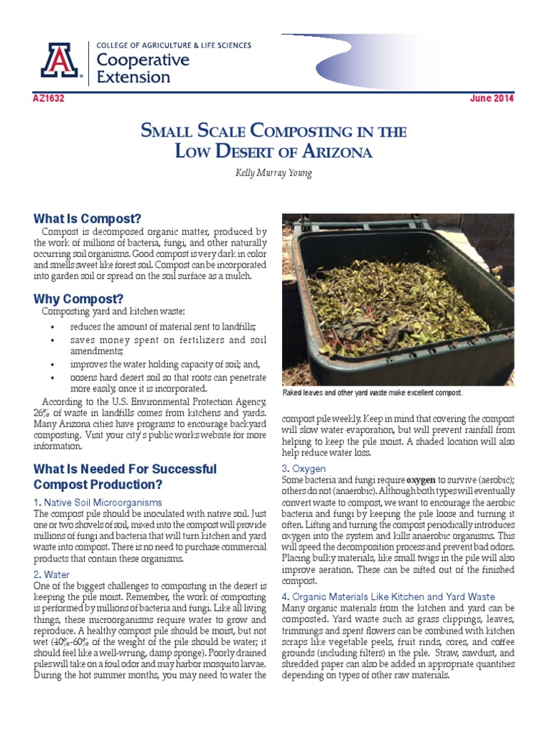 Overview Compost | PDF | Compost | Decomposition