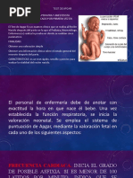 Escala de Capurro | PDF