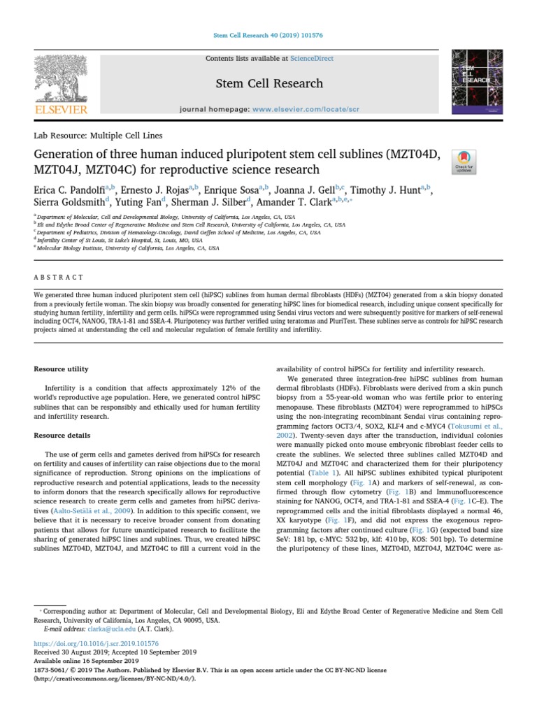 Stem Cell Research: Lab Resource: Multiple Cell Lines | PDF | Cell ...
