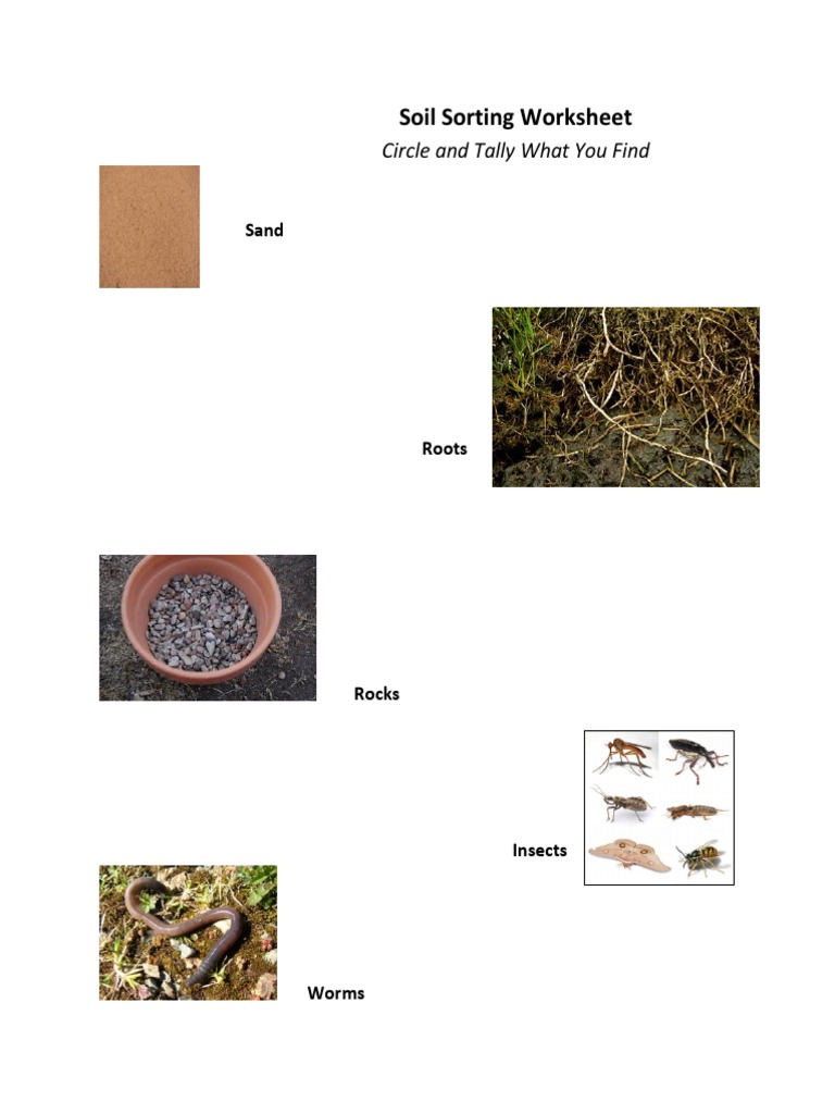 Soil Sorting Worksheet 2 | PDF