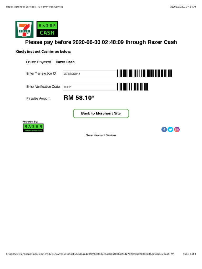 Razer Merchant Services Payment Guide | PDF
