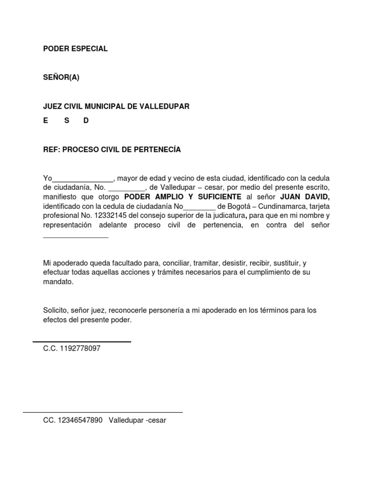 Ejemplo de Poder Especial PDF | PDF