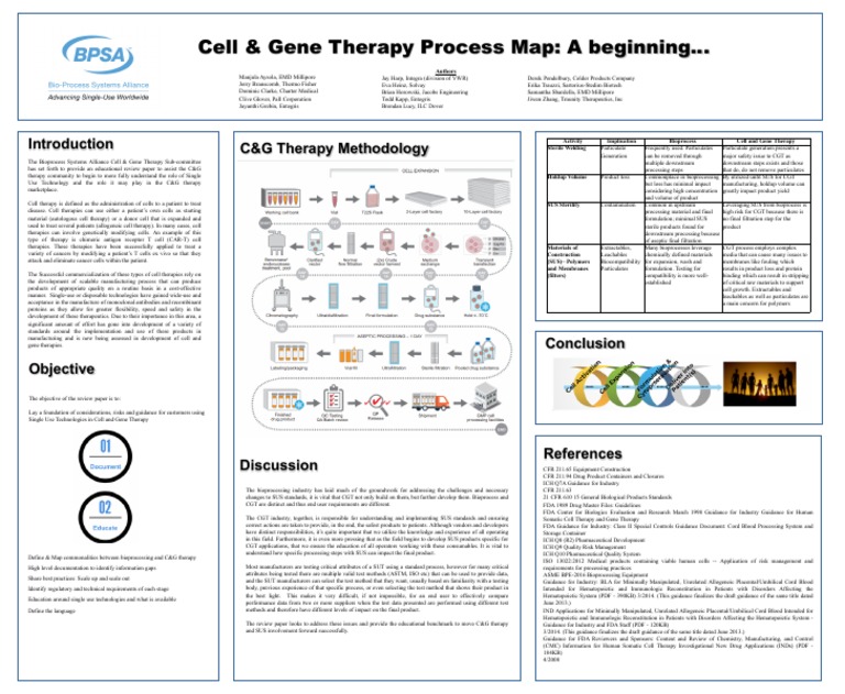 BPSA-CGT 2018 Poster Cell & Gene Therapy Process Map PDF | PDF | Life ...