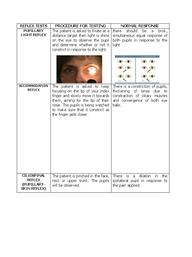 Reflex Tests Procedure For Testing Normal Response | PDF | Elbow ...
