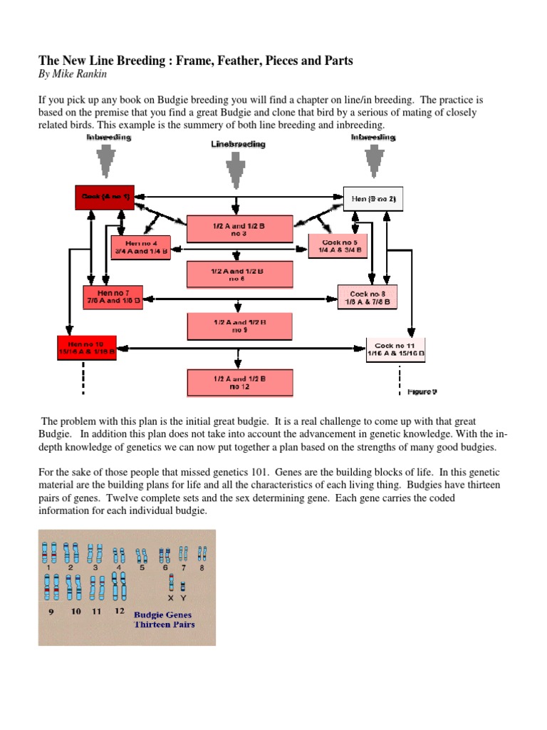 The New Line Breeding: Frame, Feather, Pieces and Parts: by Mike Rankin ...