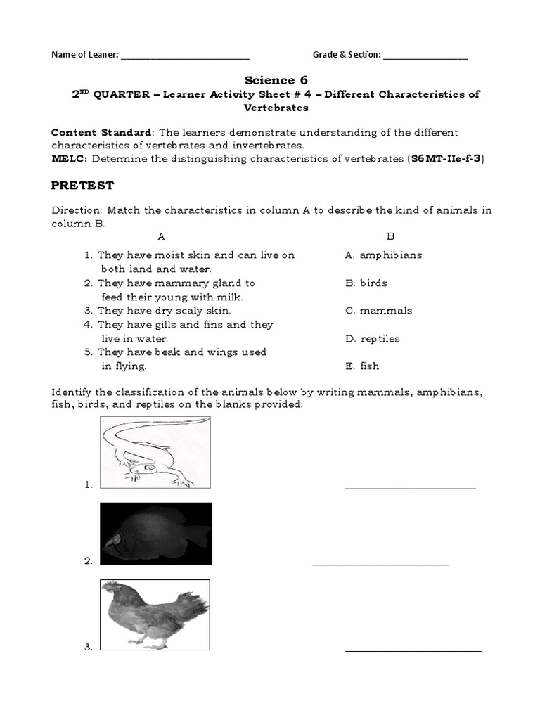 Science 6: Name of Leaner: - Grade & Section | PDF | Amphibian ...