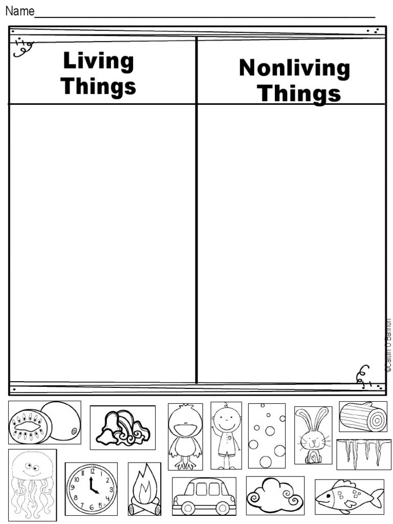 Living and Nonliving Things Picture Sort Free | PDF