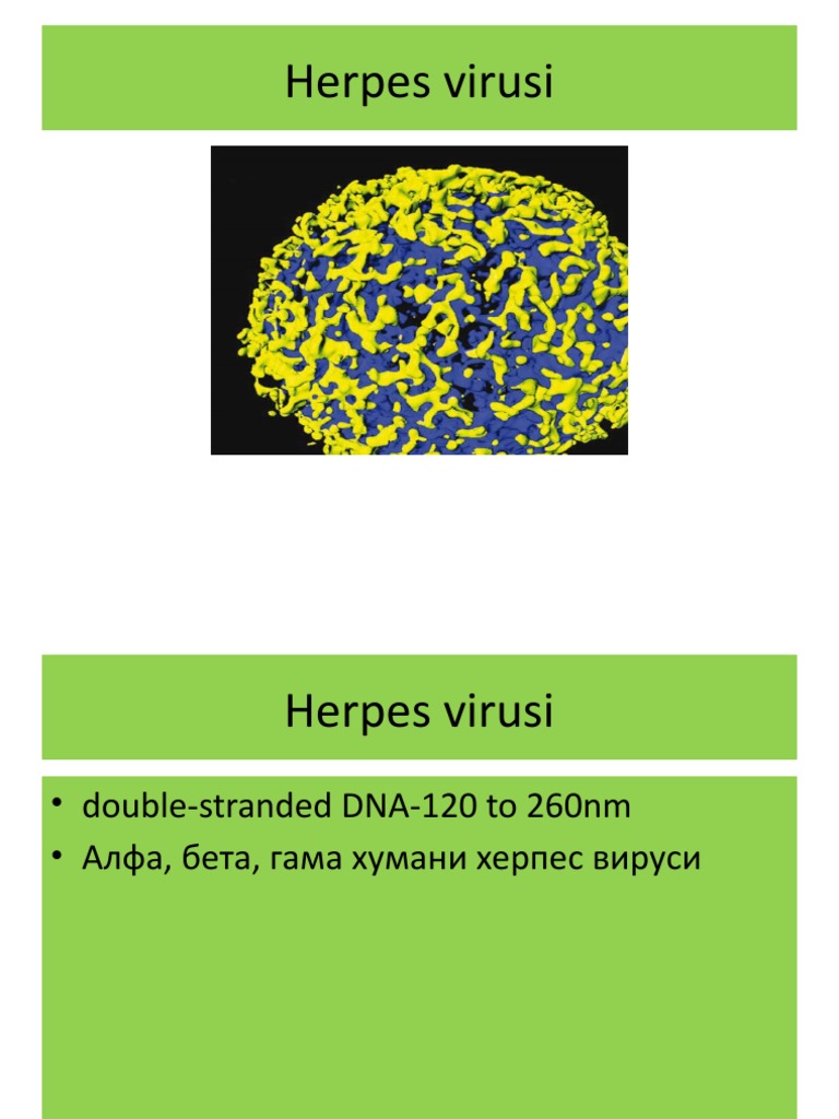 Herpes Virusi | PDF