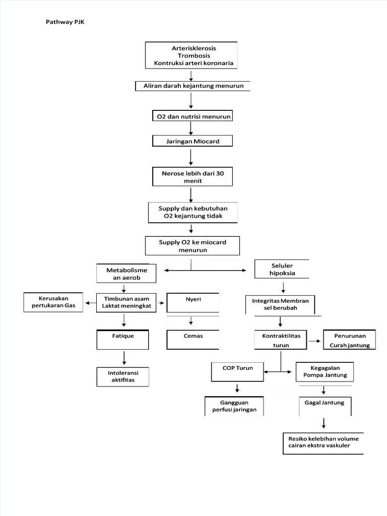 PDF Pathway PJK - Compress | PDF