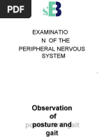 Toronto Clinical Neuropathy Scoring System | PDF | Peripheral ...
