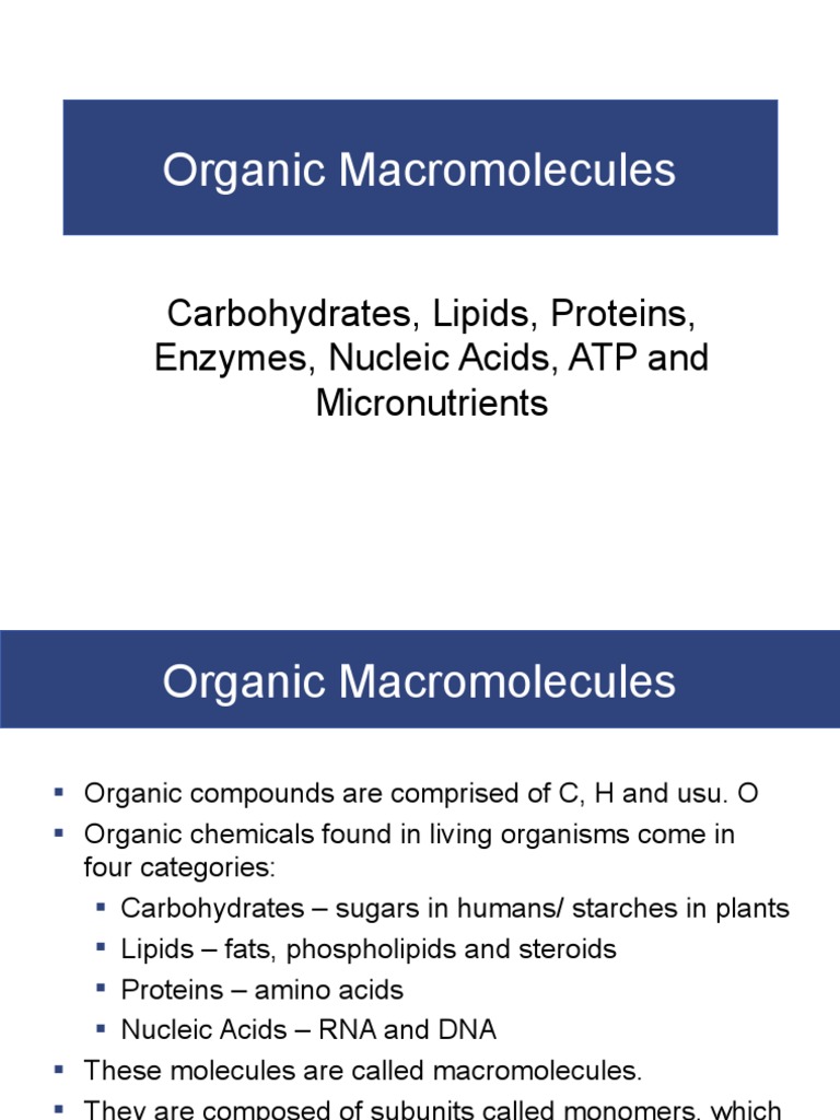 Organic Macromolecules: Carbohydrates, Lipids, Proteins, Enzymes ...