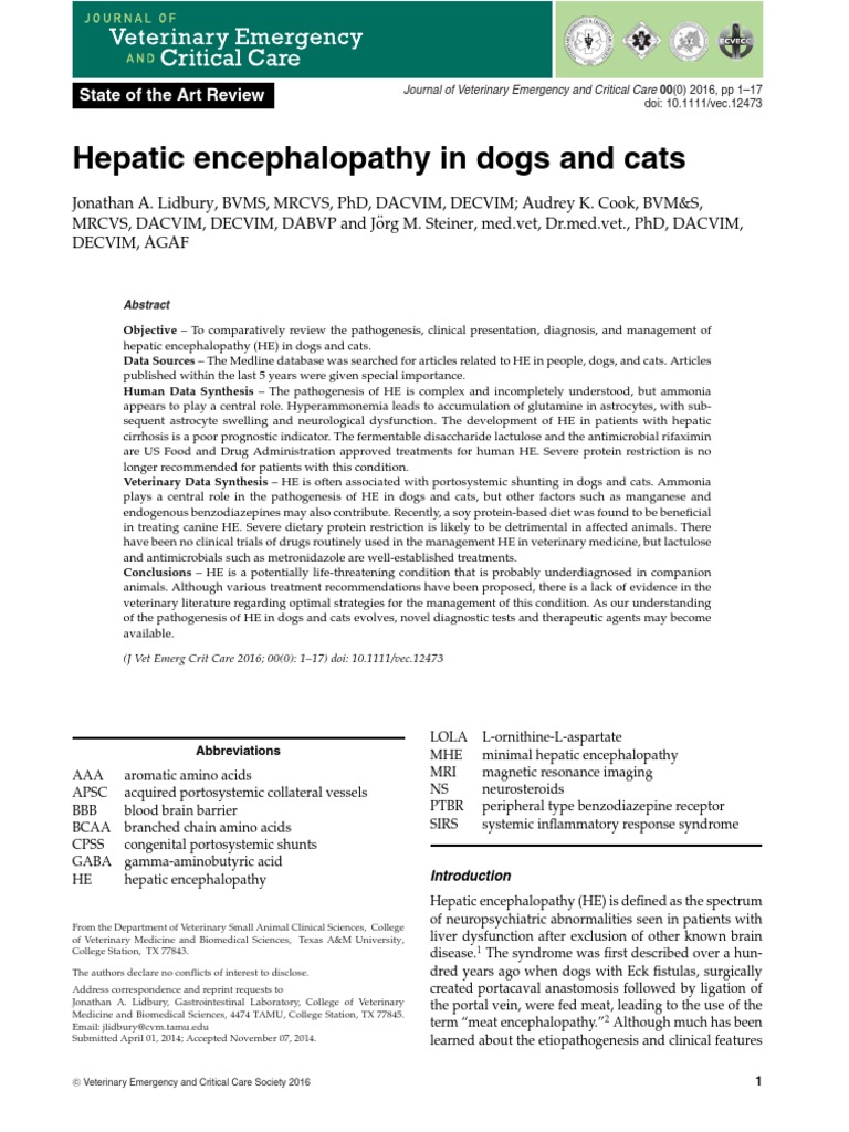 Hepatic Encephalopathy in Dogs and Cats: State of The Art Review | PDF ...