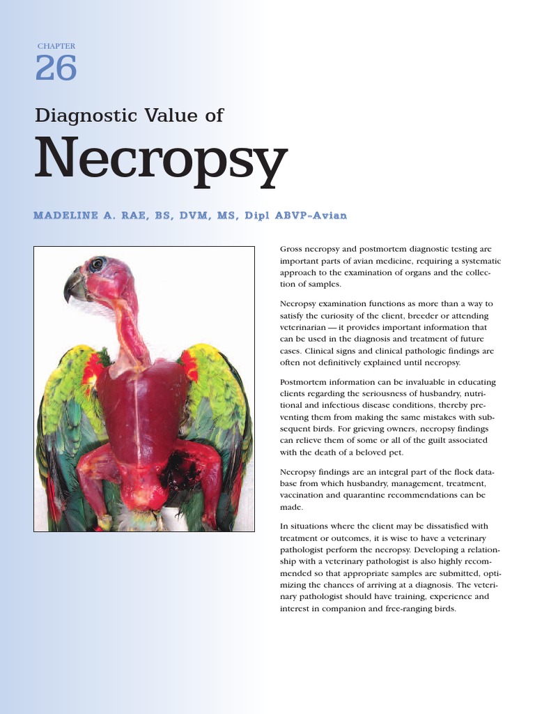 26 Necropsy PDF | PDF | Thymus | Autopsy