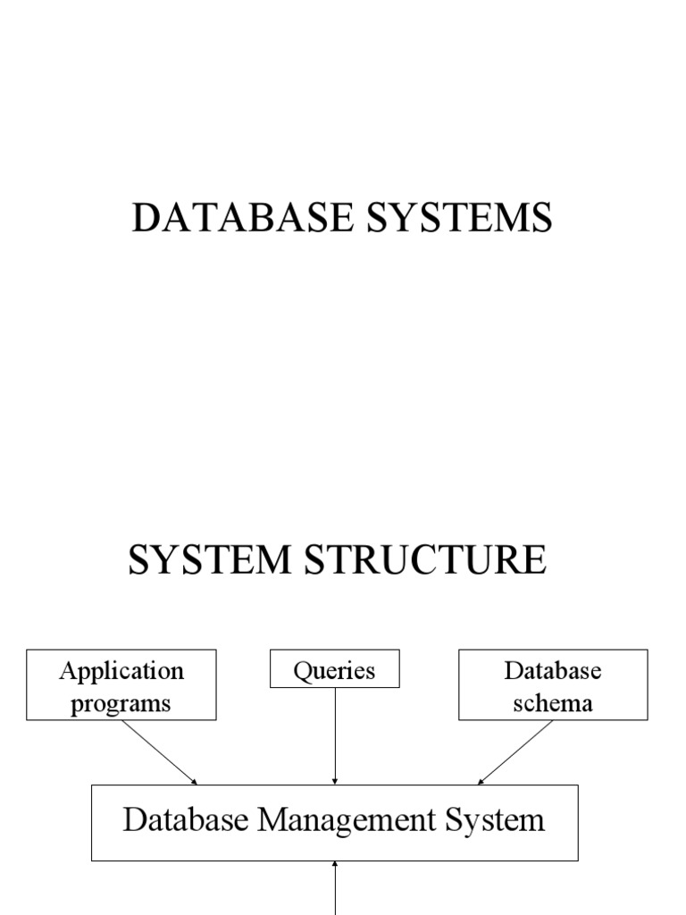 Database Systems | PDF | Data Model | Data Management Software