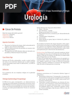 Grados de Varicocele: Clasificación y Evaluación | PDF | Sistema ...