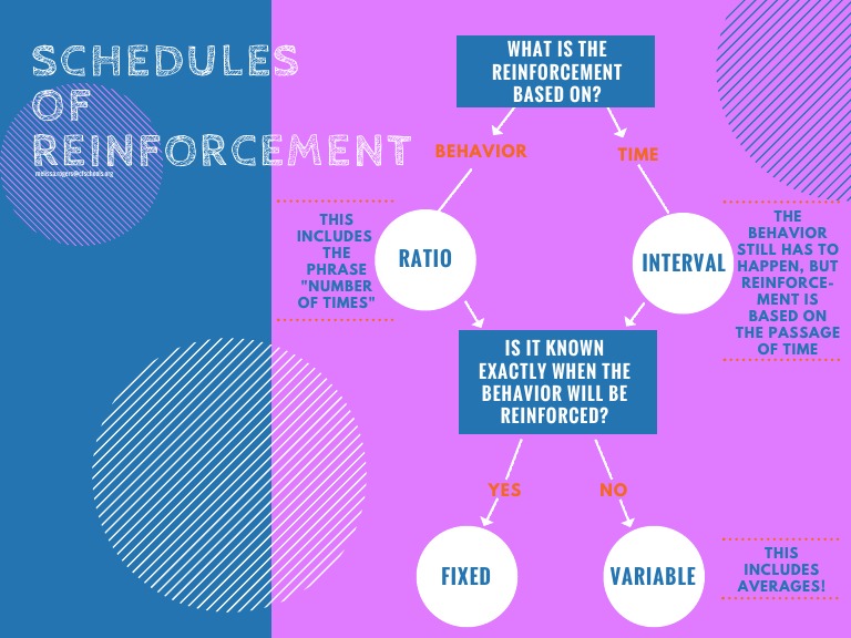 Flowchart of Schedules of Reinforcement