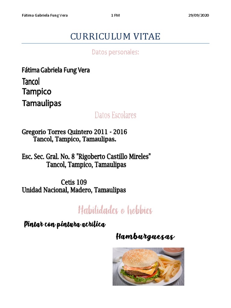 Curriculum FVFG | PDF