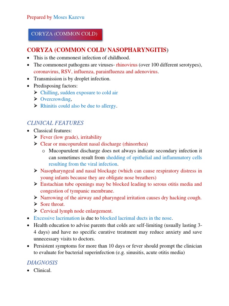 MK Coryza | PDF | Common Cold | Otorhinolaryngology