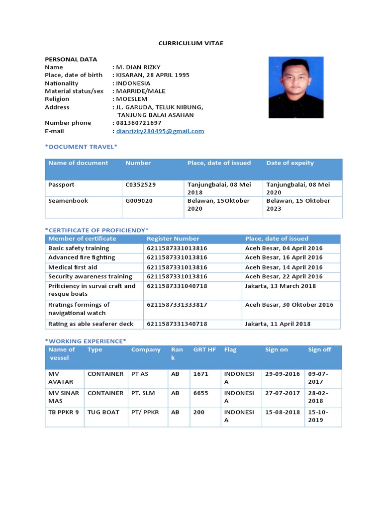 CV Dian Seaman CV | PDF