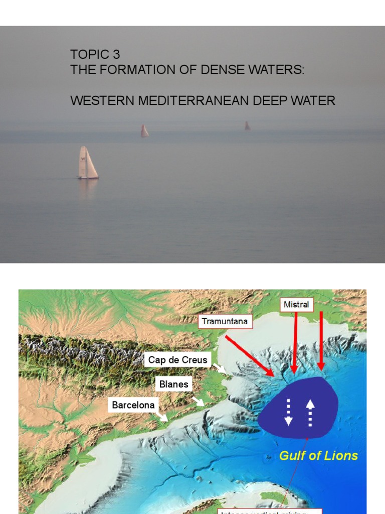 Topic 3 The Formation of Dense Waters: Western Mediterranean Deep Water ...
