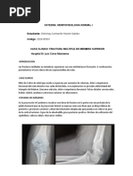 Clasificacion de Gartland 2 | PDF | Sistema musculoesquelético