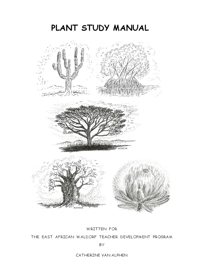 g5 Botany Plant Study Manual | PDF | Petal | Flowers