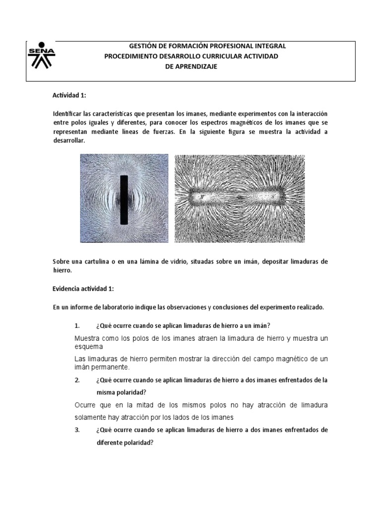 Hoja De Trabajo Sobre Magnetismo Para La Escuela Secundaria