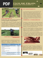 Censo Agrop 2024 Resultados Preliminares | PDF | Agricultura