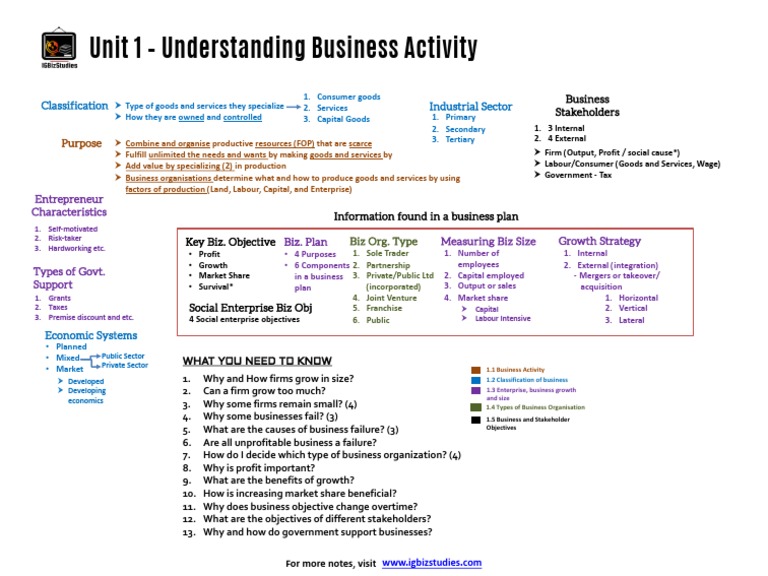 Unit 1 - Understanding Business Activity IGCSE O'Level Business Studies ...