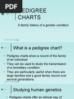 AAFP Dizziness - Evaluation and Management | PDF | Vertigo | Ménière's ...