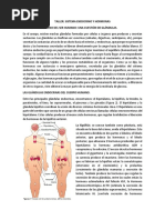 Ficha Técnica Quantrel | PDF | Medicamentos con receta | El embarazo