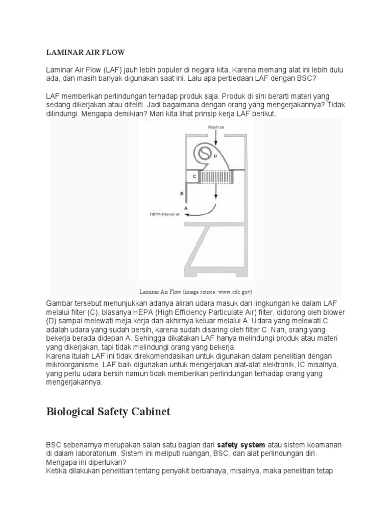 Perbandingan LAF dan BSC dalam Laboratorium | PDF | Sains & Matematika ...