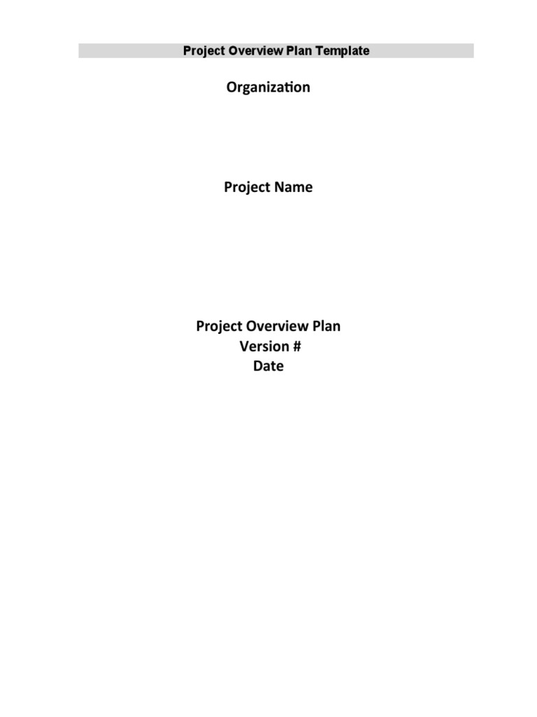 Organization: Project Overview Plan Template | PDF | Project Management ...