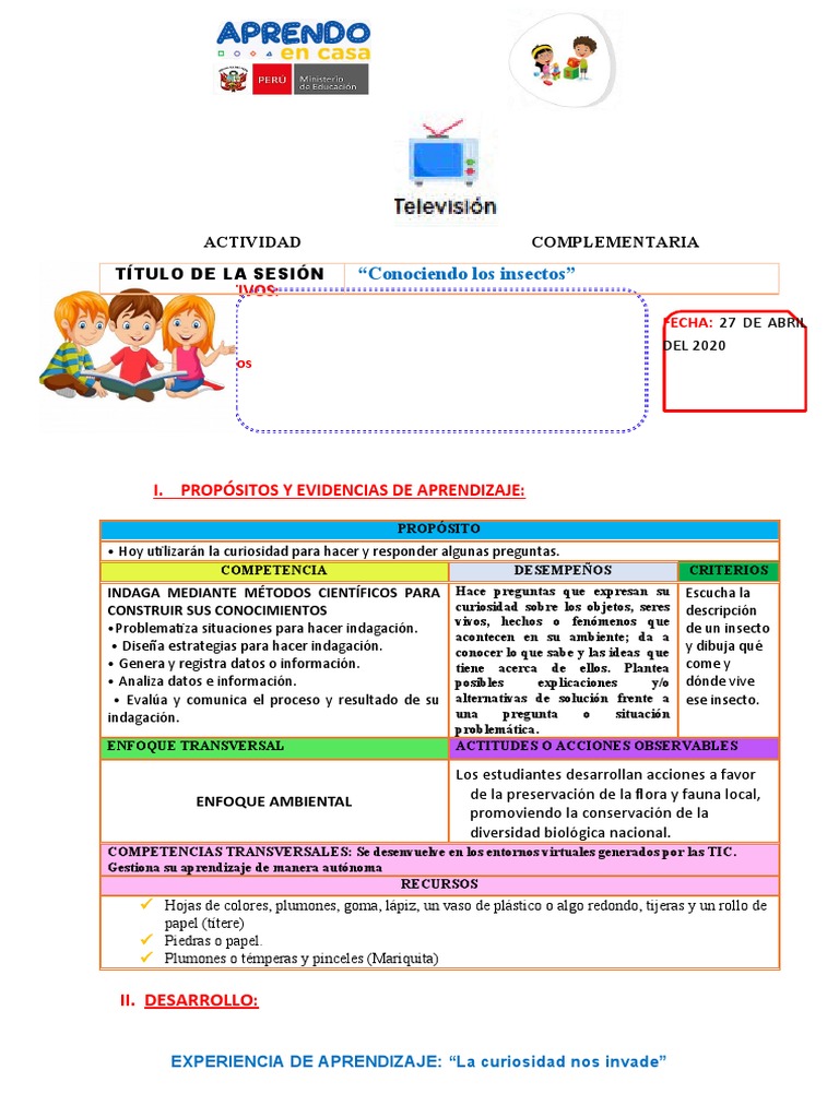 Semana 4 5 AÑOS | PDF | Dormir | Insectos