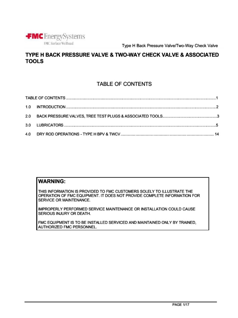 Type H BPV and TWCV Overview | PDF | Valve | Tools