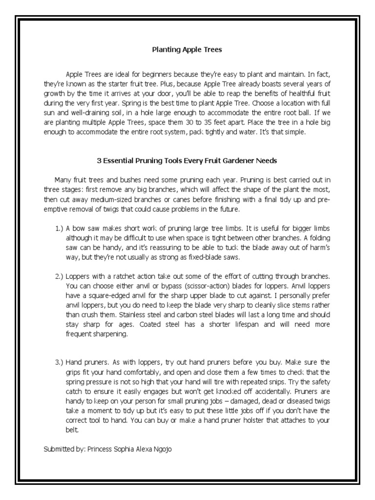 Planting Apple Trees | PDF | Pruning | Plants