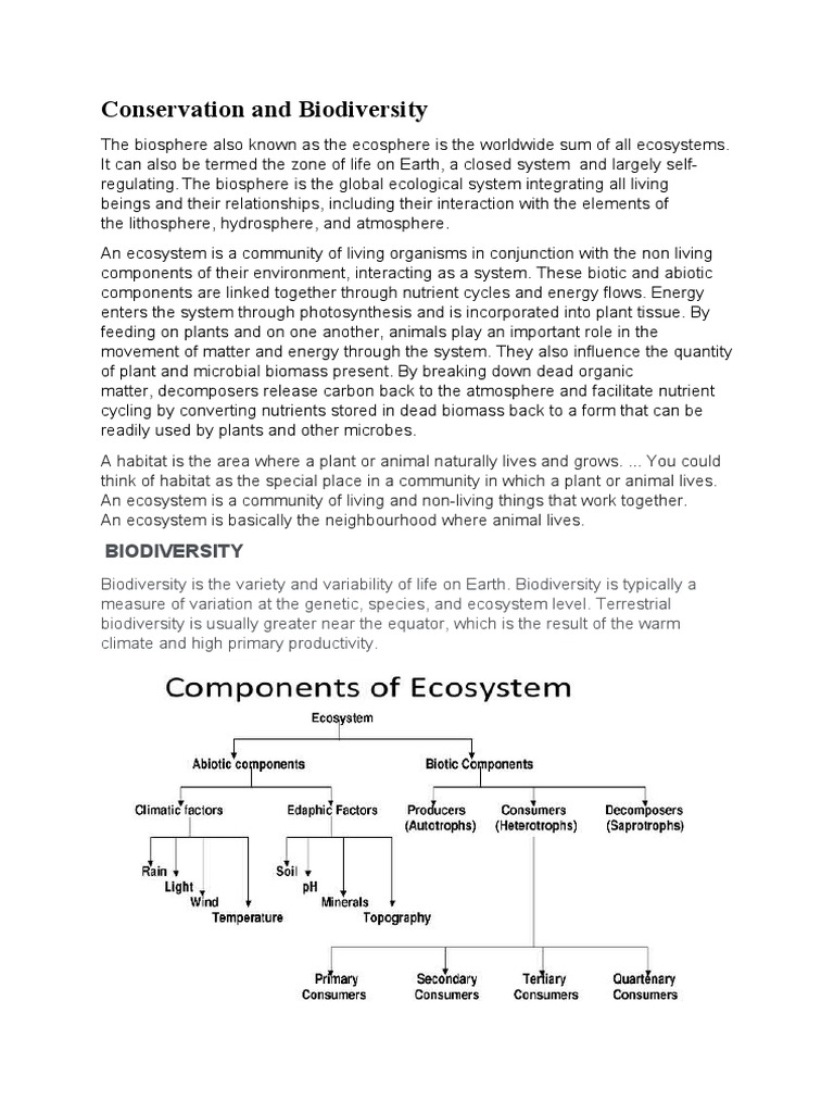 Conservation and Biodiversity | PDF | Ecosystem | Biodiversity