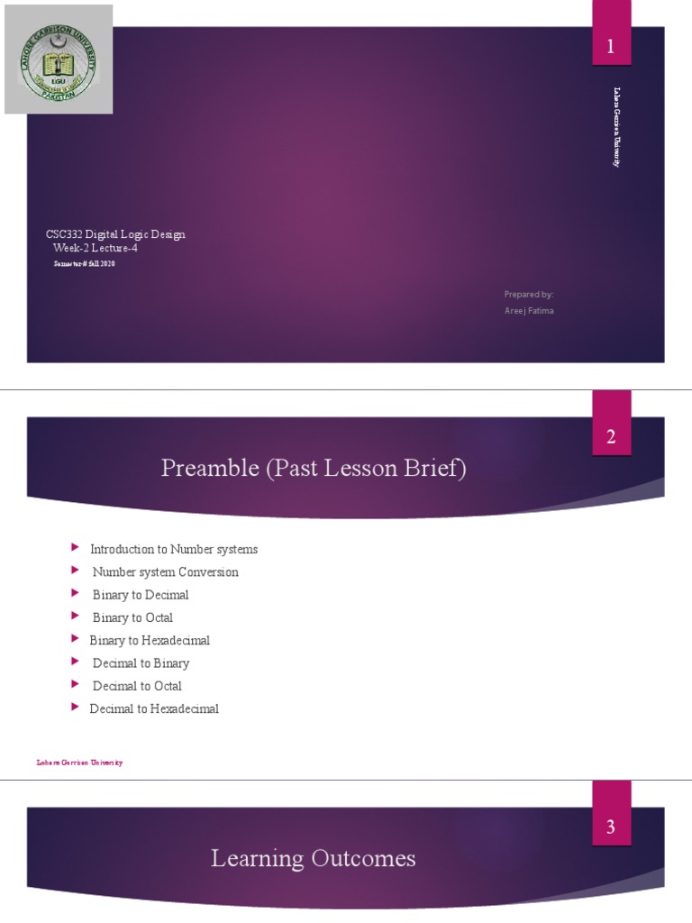 DLD Number System and Conversion | PDF | Lexicology | Notation