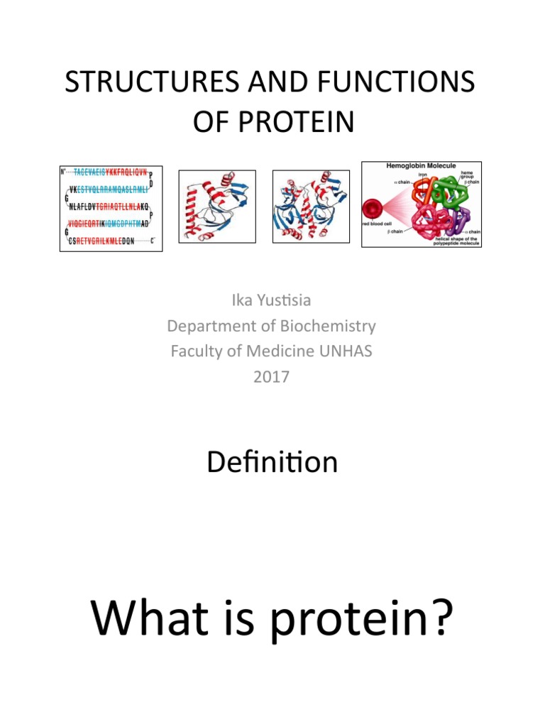 Structures and Functions of Protein | PDF | Antibody | Hemoglobin