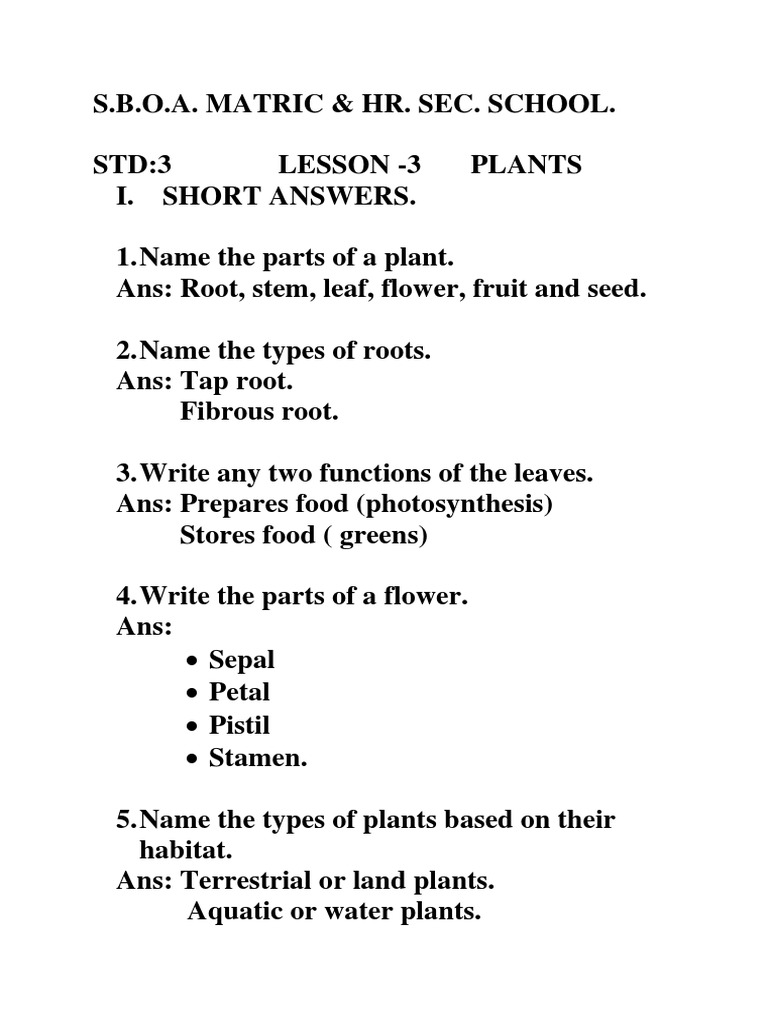 Parts and Functions of Plants | PDF