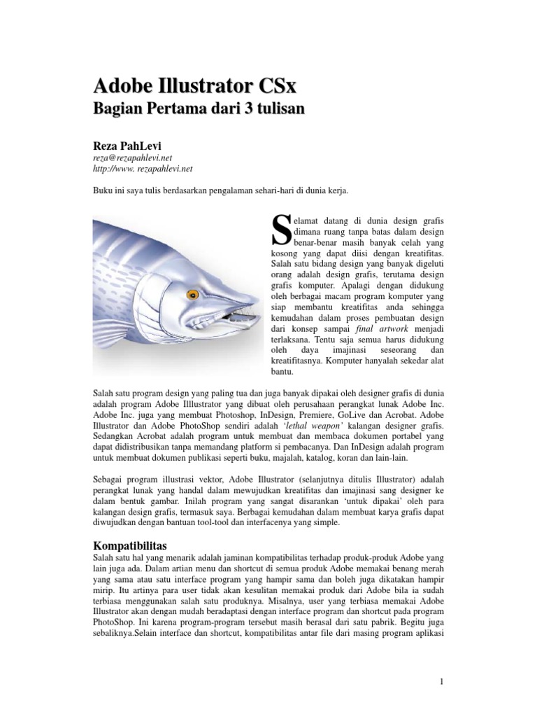 C Ebook Adobe Illustrator CS - Chapter 1 | PDF