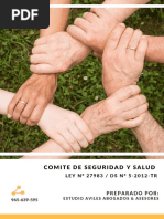 Triptico Nom 019 | PDF | Ciencias de la Salud