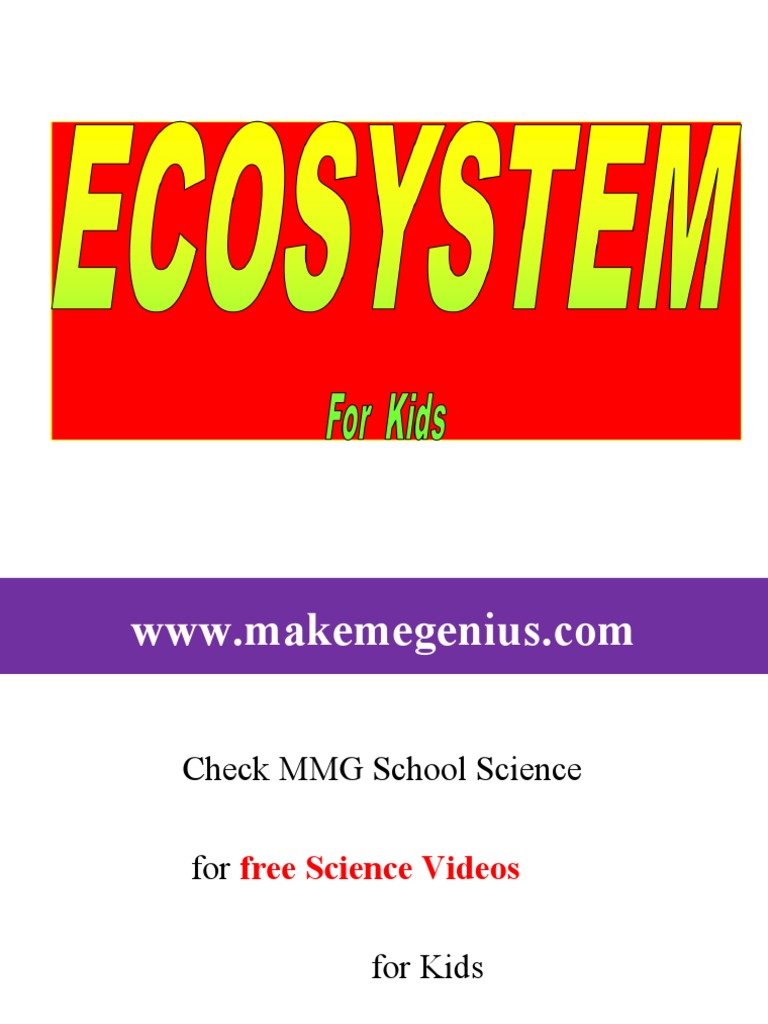 Ecosystem Basics for Kids | PDF | Ecosystem | Conservation Biology