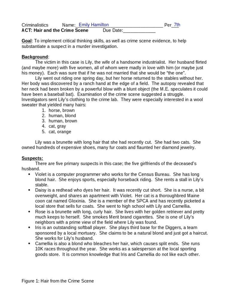 Hair and The Crime Scene Mystery | PDF | Blond | Crime Scene