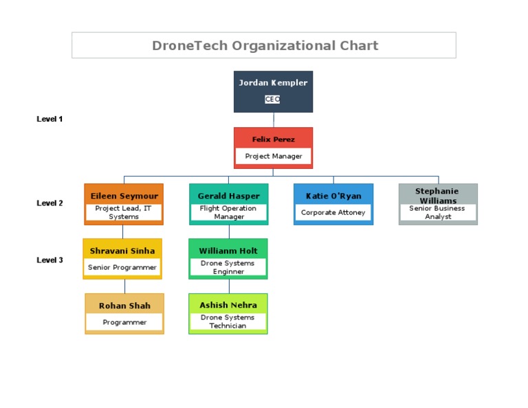 DroneTech Organizational Chart | PDF